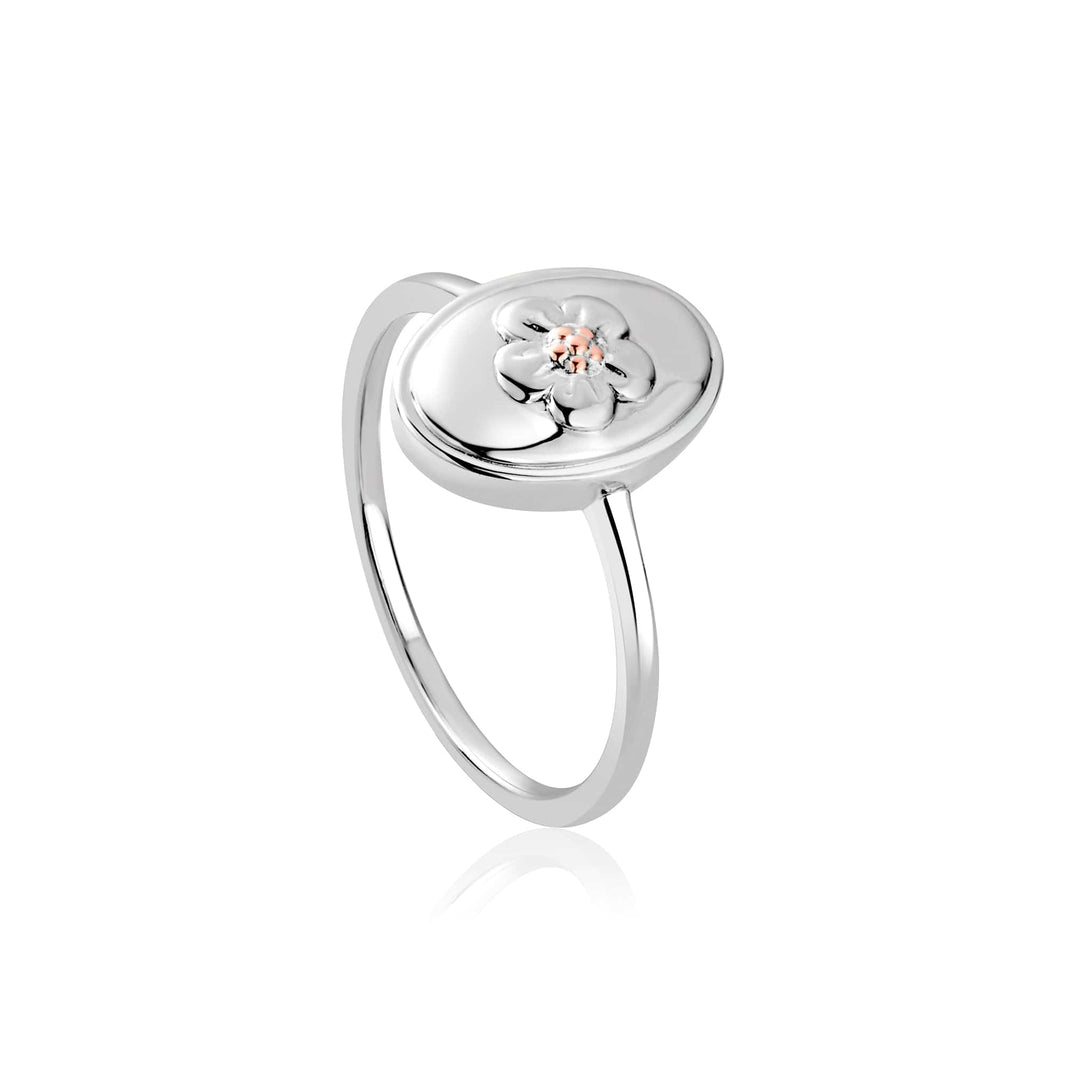 Clogau© Welsh Gold Jewellery | Browse our new collection
